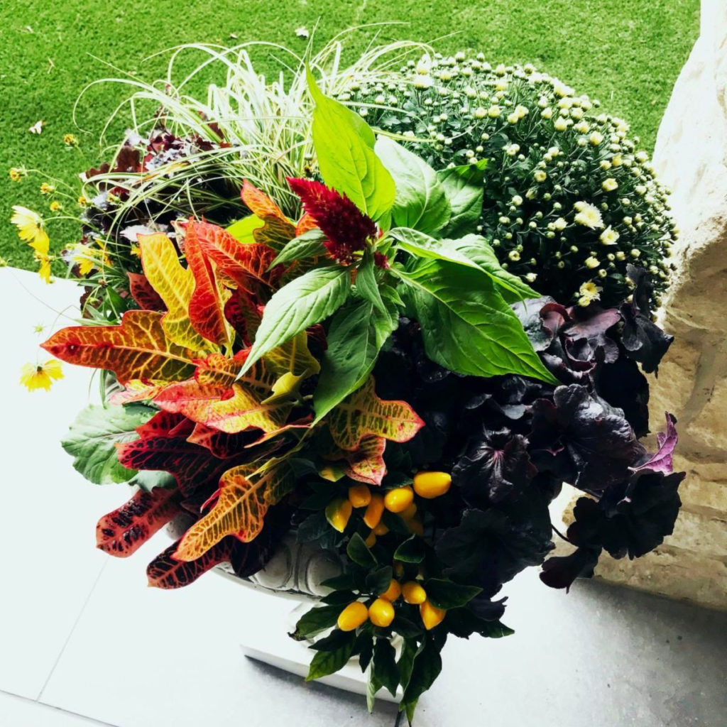 ENJOY YOUR YARD ALL YEAR - Poynter Landscape Architecture & Construction