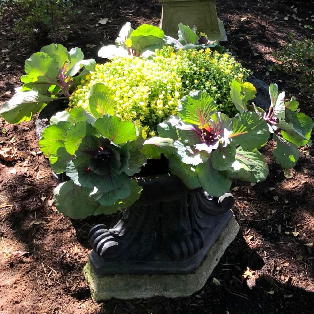 ENJOY YOUR YARD ALL YEAR - Poynter Landscape Architecture & Construction