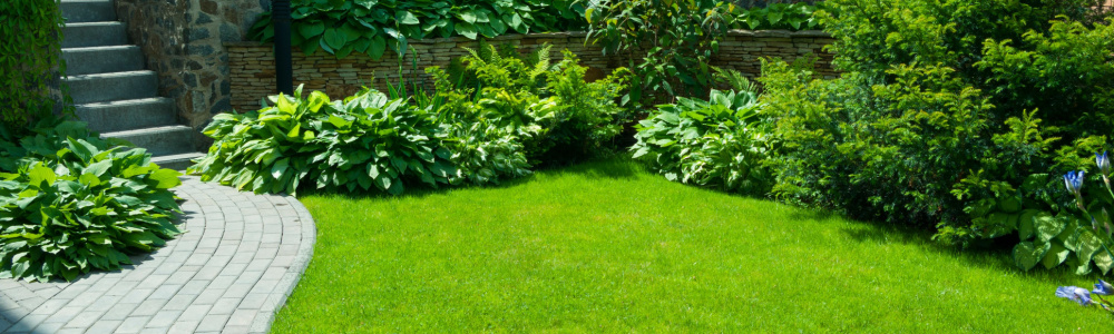 Professional Landscaping Services Near You in St. Louis | Poynter