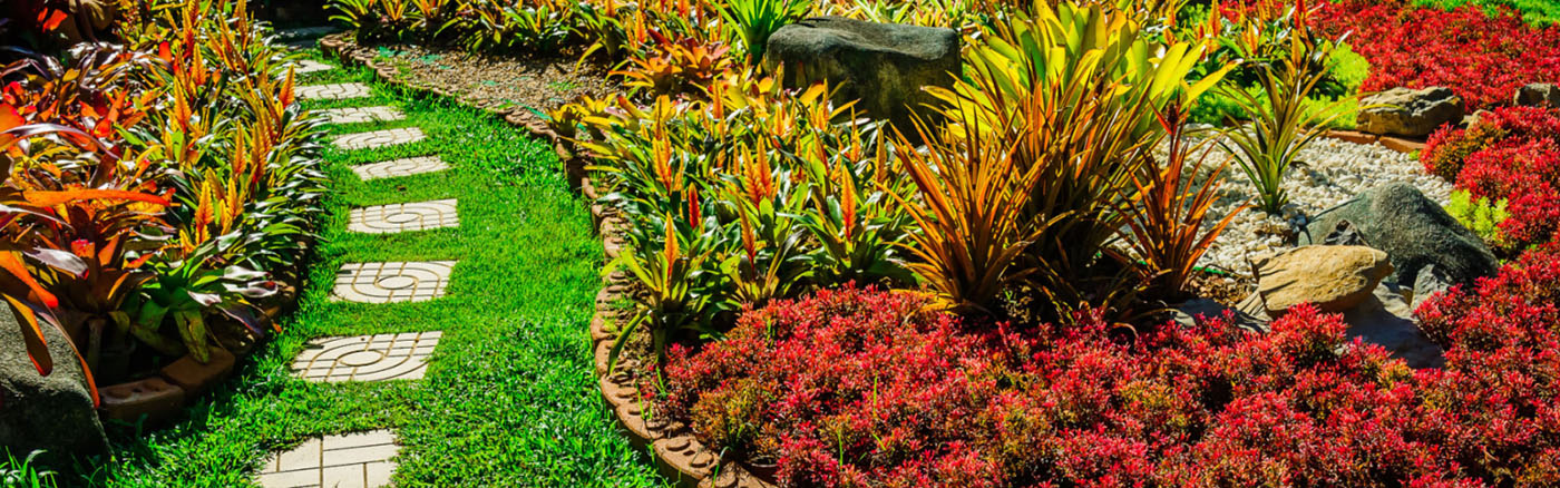 Basic Design Elements for Outdoor Landscaping | Landscape Design St ...